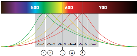 QuantStudio™ Multi-dye Spectral Calibration Plate 1 – A2K Scientific